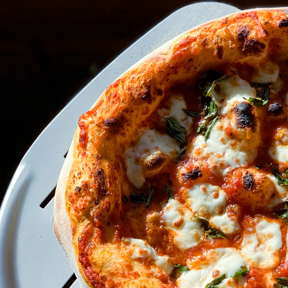 How This US$170 Slab of Steel Transformed My Home Pizza Game | Robb ...