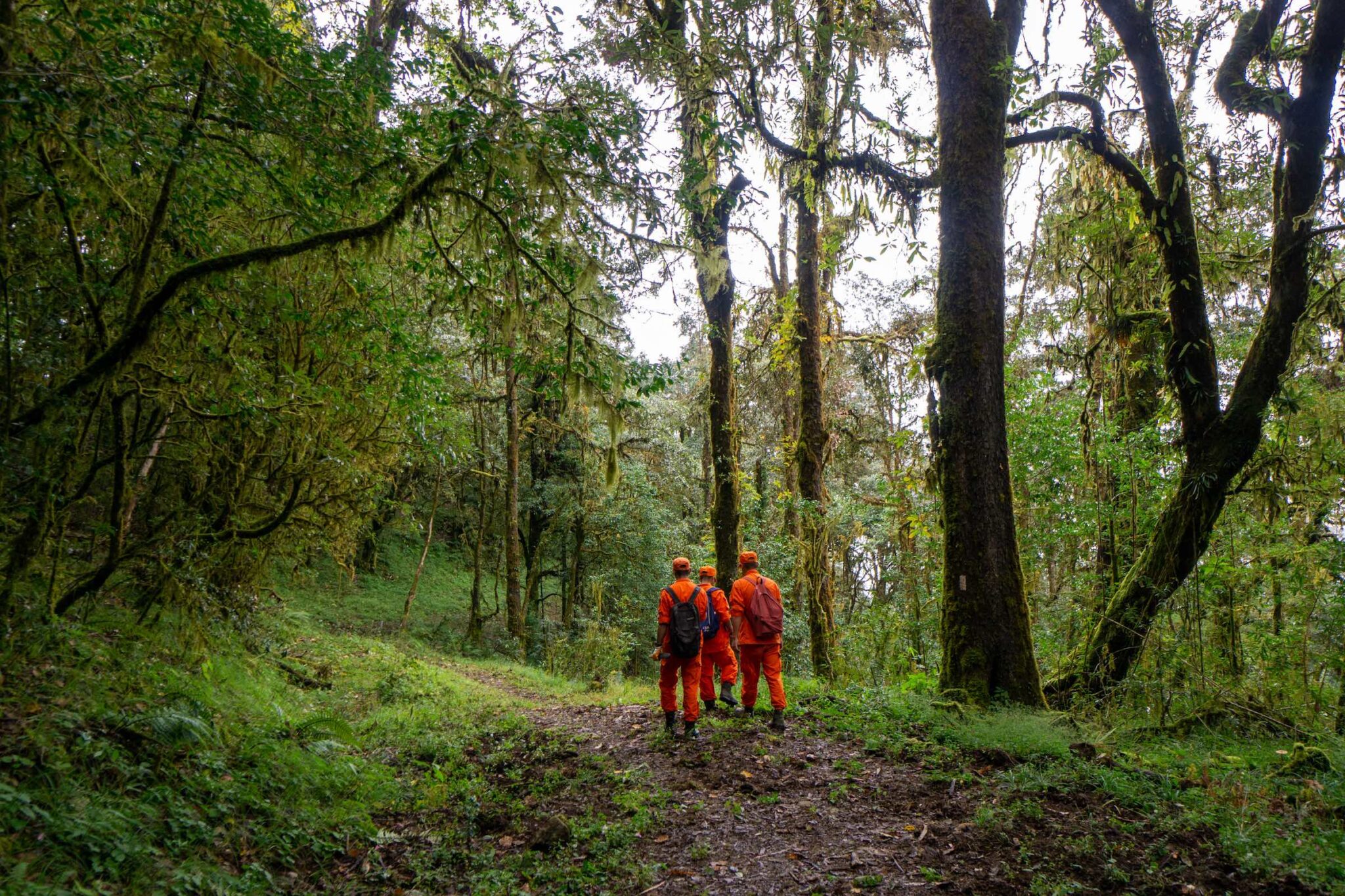 In the Footsteps of Pilgrims: Walking the Trans Bhutan Trail | Robb ...