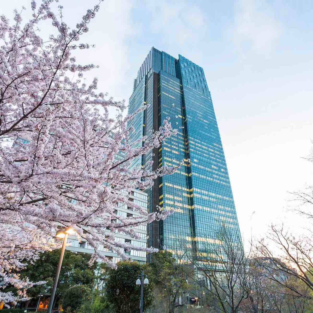 The Ritz-Carlton’s Elevated Club Experience Weaves Authentic Local ...