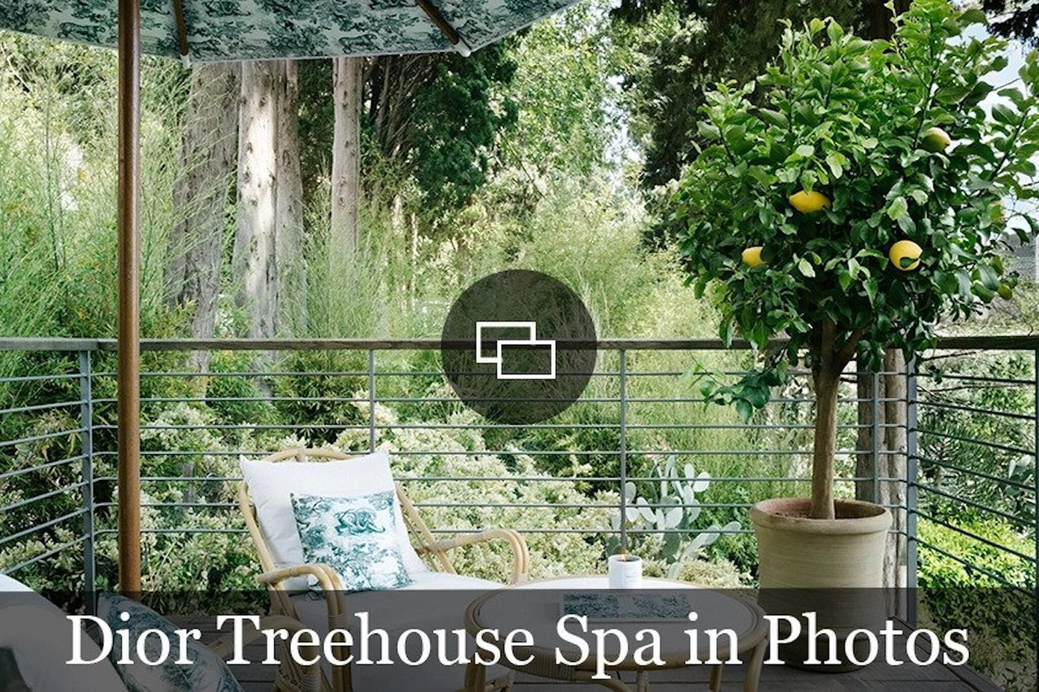 Belmond and Dior Just Opened Two Spa Tree Houses at a Legendary Luxury ...