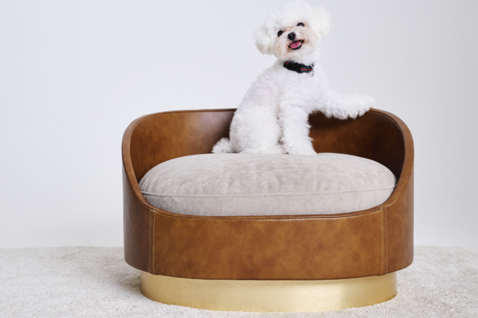 This HK$23,000 Luxury Pet Bed Is the Latest Accessory For Your Pampered ...