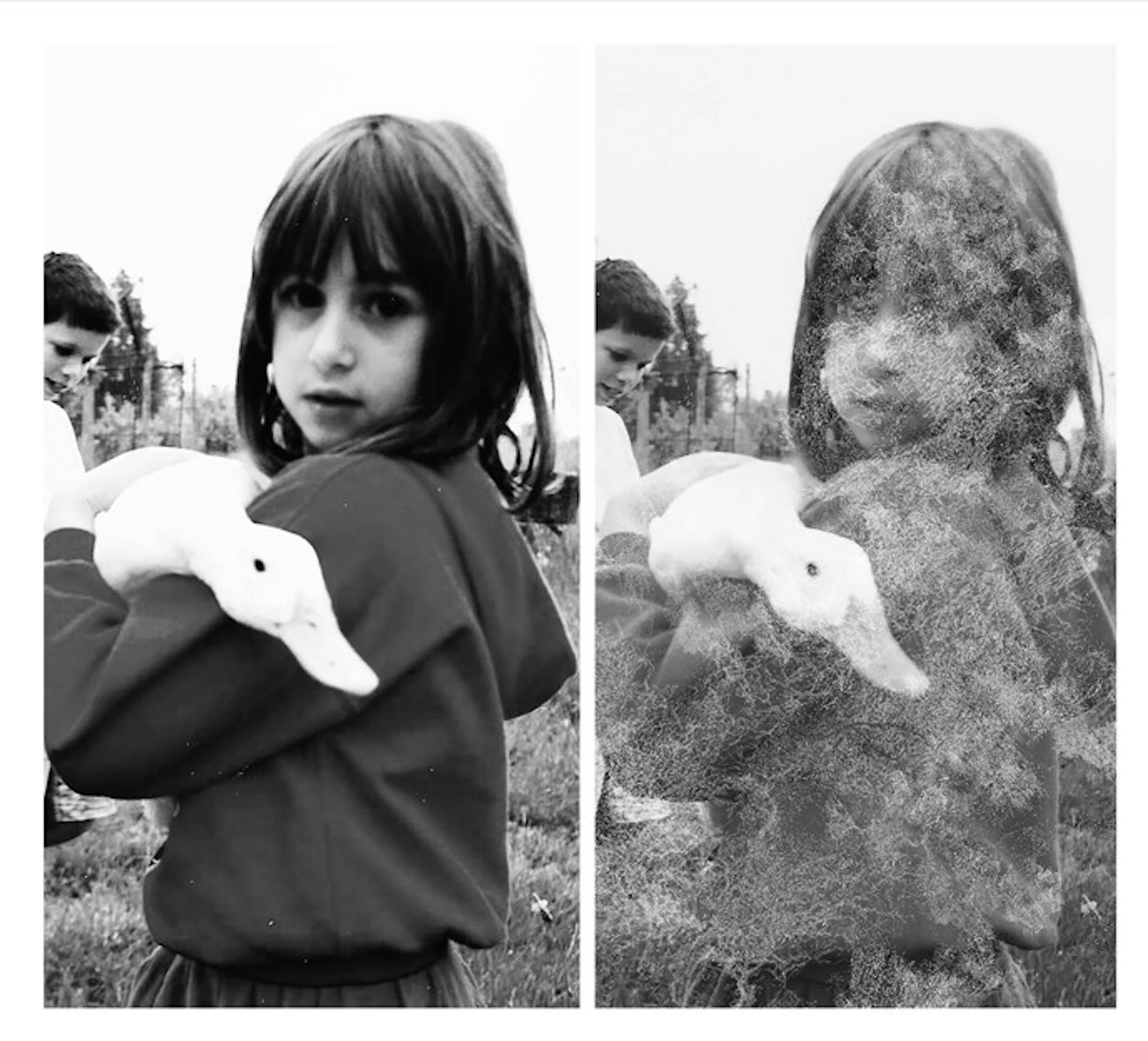 Art Central 2025 Curator Enoch Cheng on Creating Connections and the ...